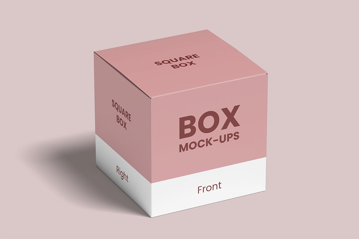 Grapbox - Download Free Digital Assets - Fonts, Mockups...